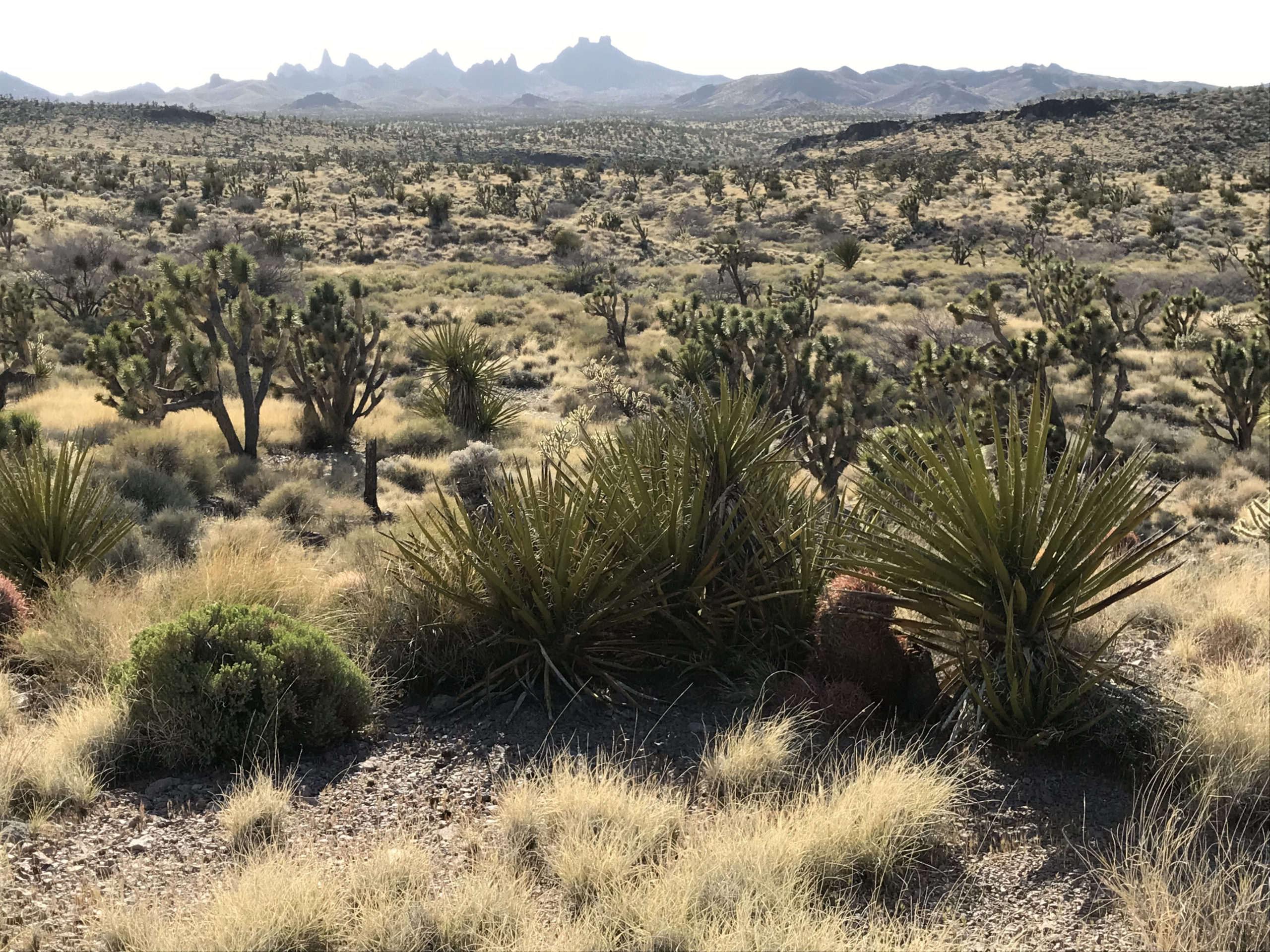 New public land rule is a major step forward but questions remain ...