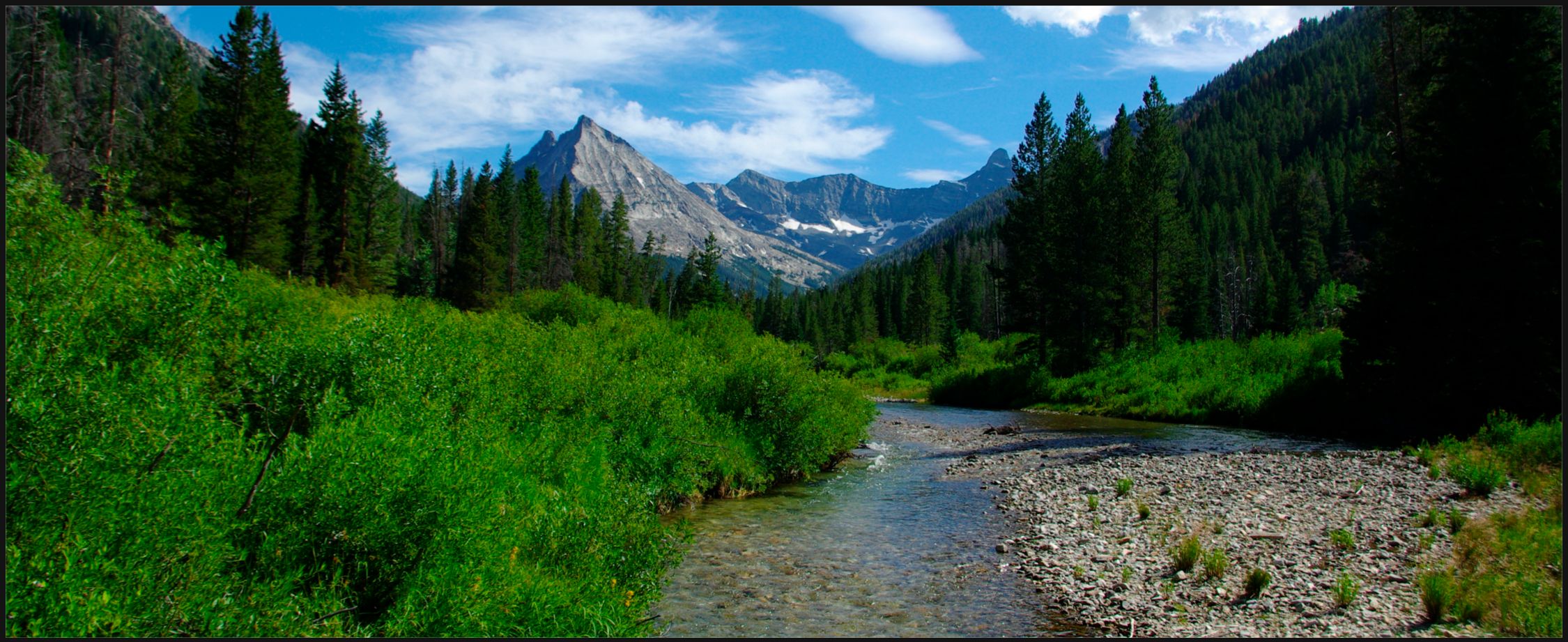 Conservation groups demand strengthening of Conservation Rule to ...