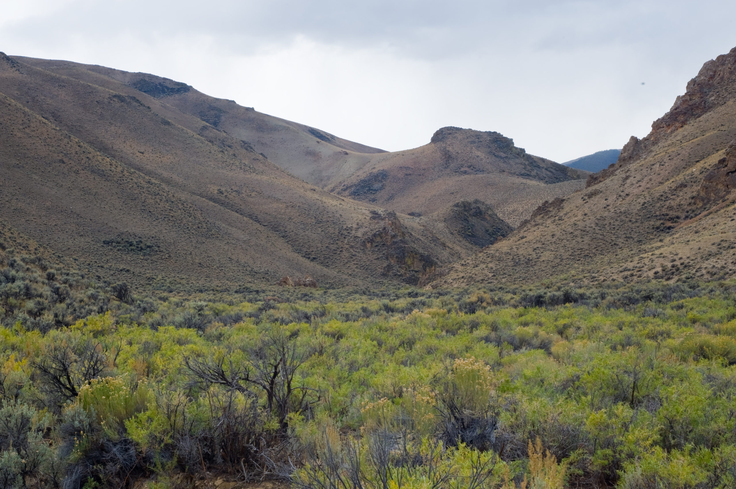 Contact Us - Western Watersheds Project