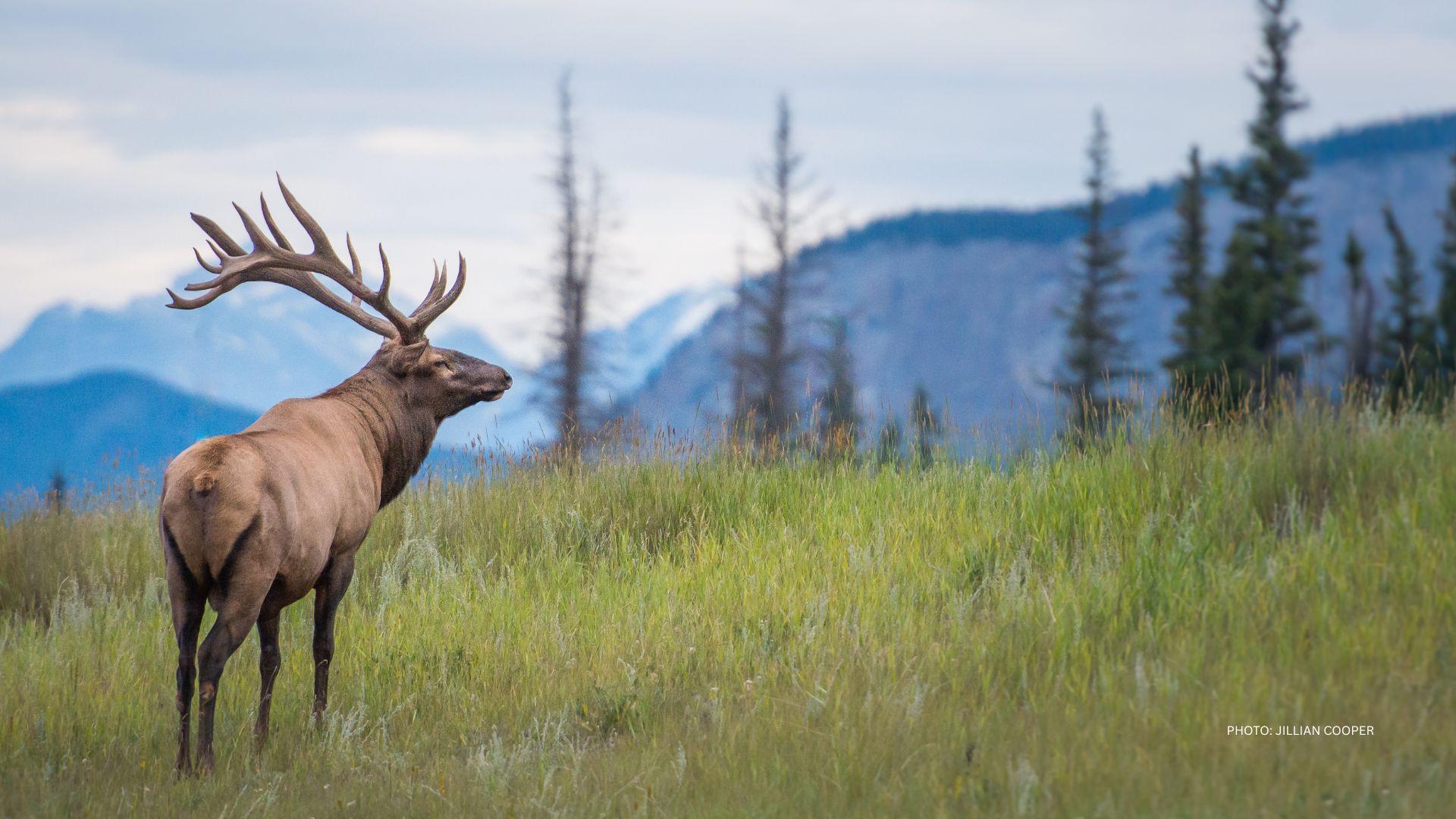 Court ruling halts 5,000-well oil and gas drilling project in eastern ...